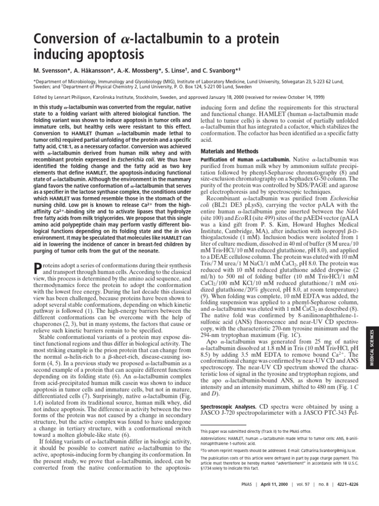 Alpha Lactalbumin To Hamlet | PDF | Proteins | Chromatography