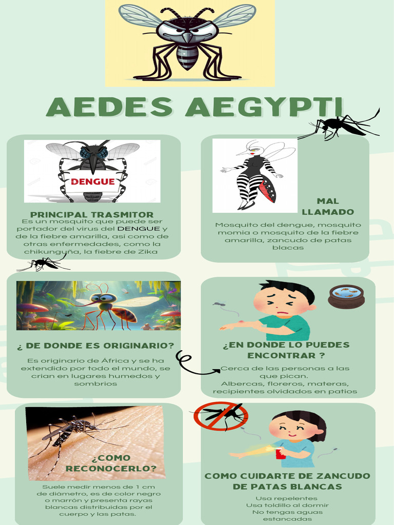 Modulo 1 Actividad 3 Vectores Trasmisores Del Dengue - 20240527 ...