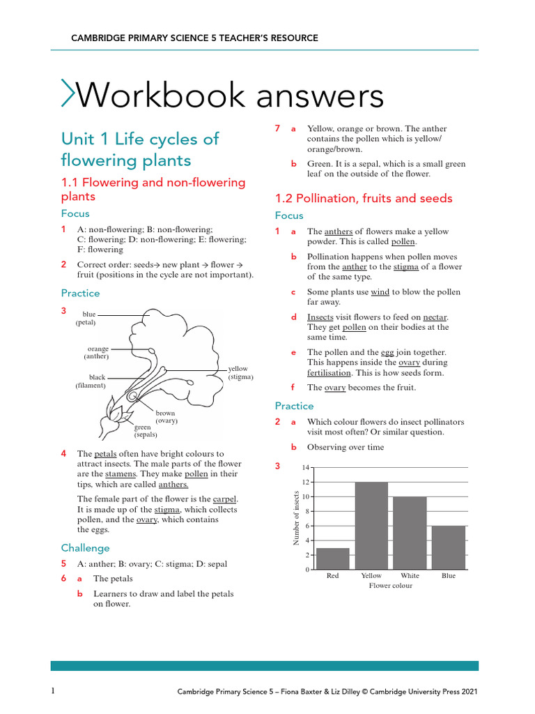 P Science 5 Workbook Answers | PDF | Flowers | Petal
