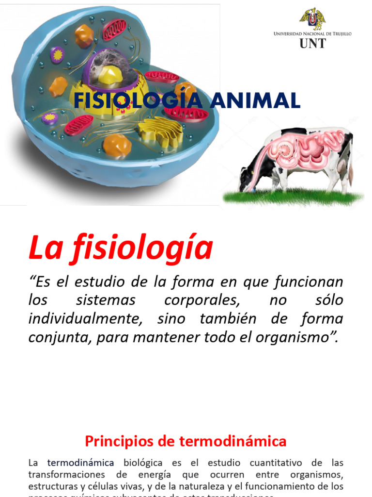 Clase 1 1 Fisiología Animal Descargar Gratis Pdf Membrana Biológica