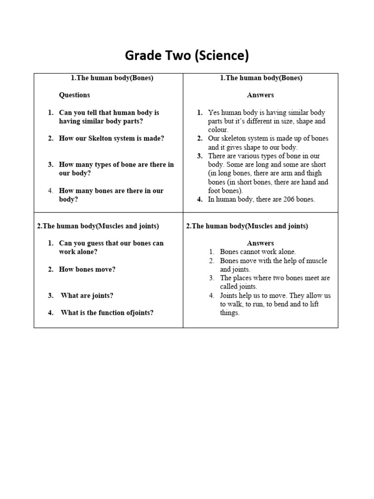 grade 2 science | PDF | Hand | Bone