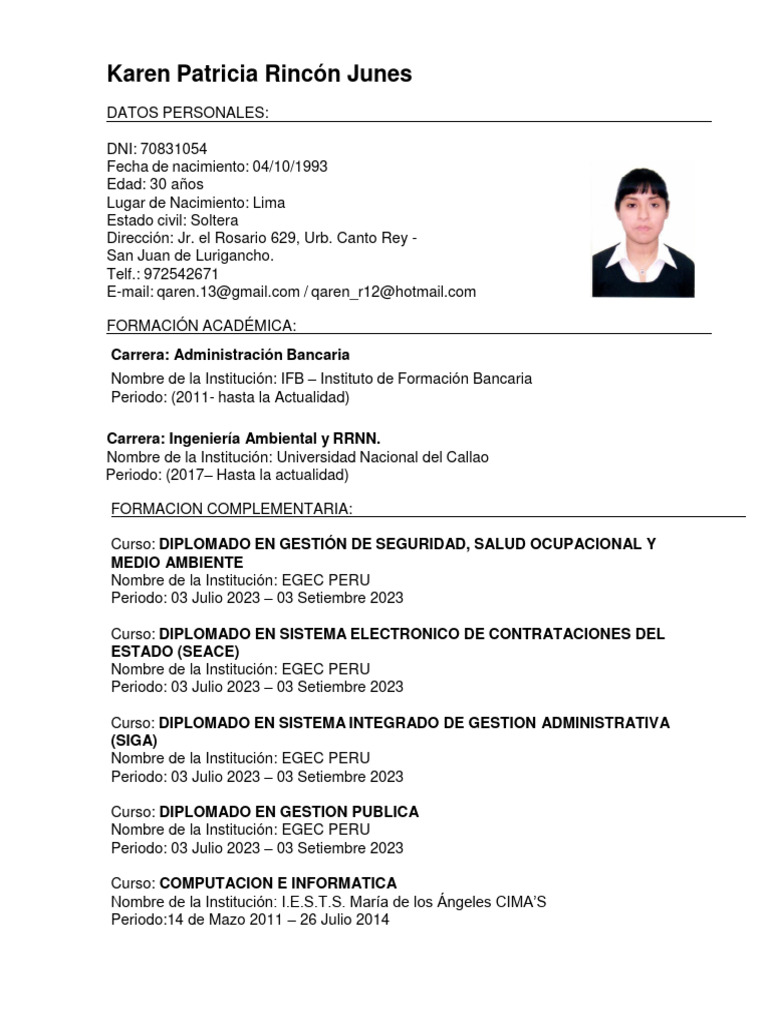 Karen Rincon - CV - 2023 | PDF | Business | Perú