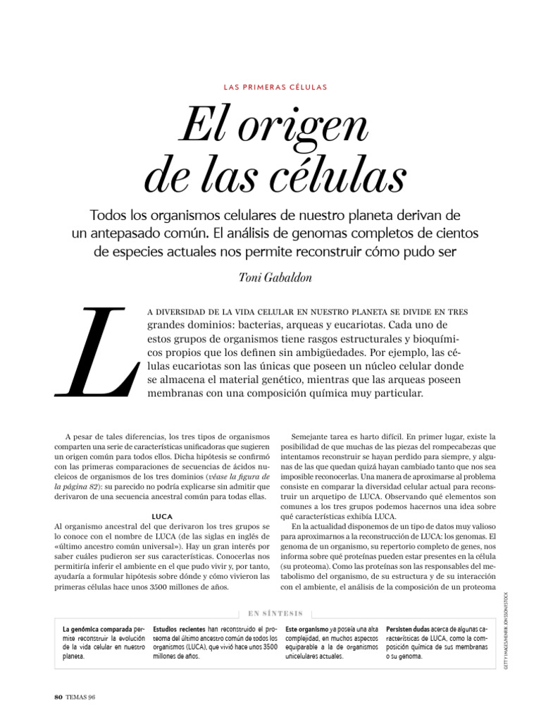 3-EL_ORIGEN_DE_LAS_CELULAS_IyC_N96_2019 | PDF | Biología Celular ...