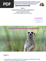 Animal Kingdom Flow Chart | PDF | Biology | Zoology