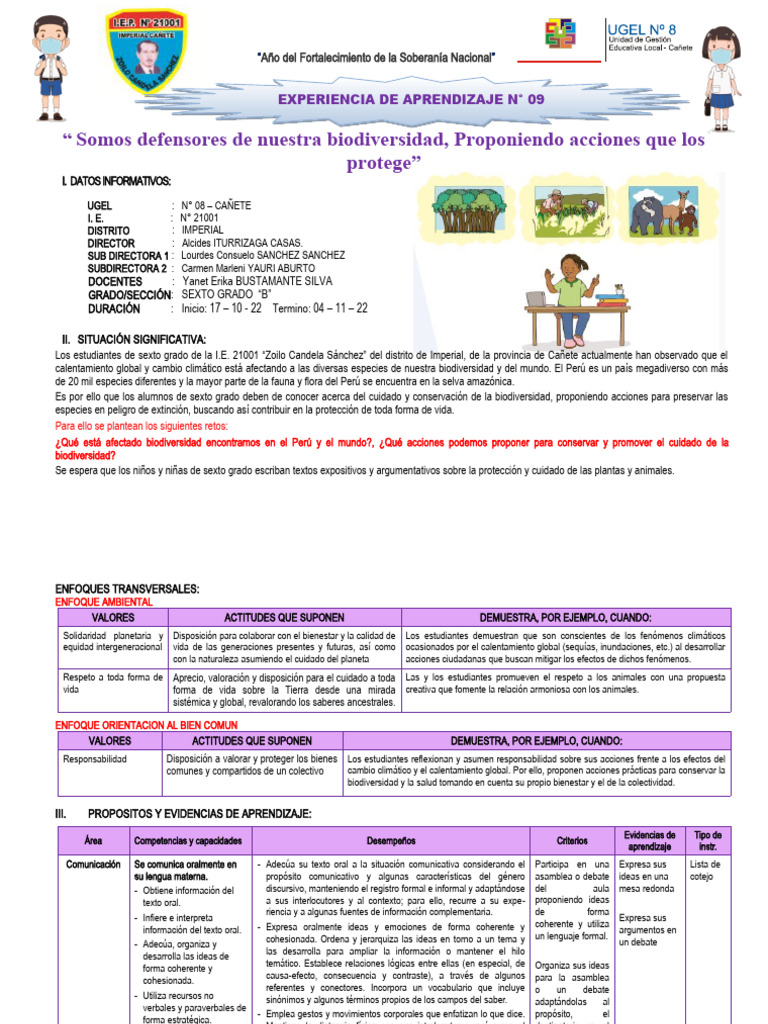 Experiencia de Aprendizaje #09 Sexto B | PDF | Cognición | Ciencia cognitiva