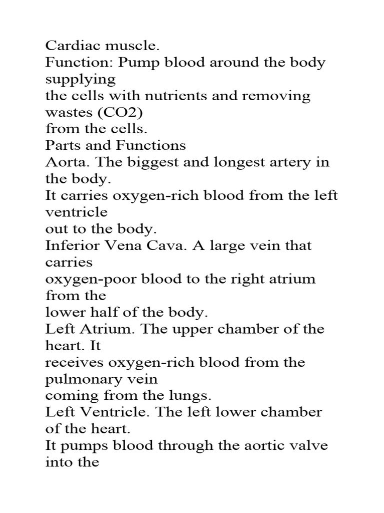 Overview of the Human Circulatory System | PDF | Heart | Artery