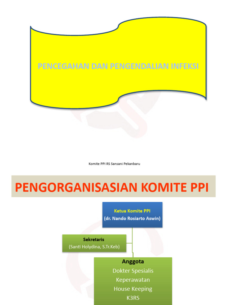 Persentasi Direktur PPI Fix | PDF