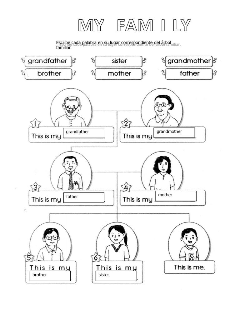 Family Member Vocabulary 1 | PDF