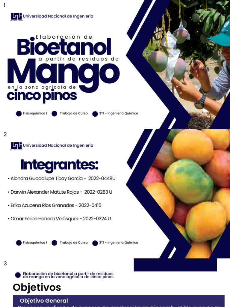 Bioetanol de Residuos de Mango en Cinco Pinos | PDF | Biocombustible | Combustible de etanol