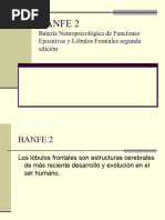 Protocolo de Registro Del Examinador BANETA | PDF