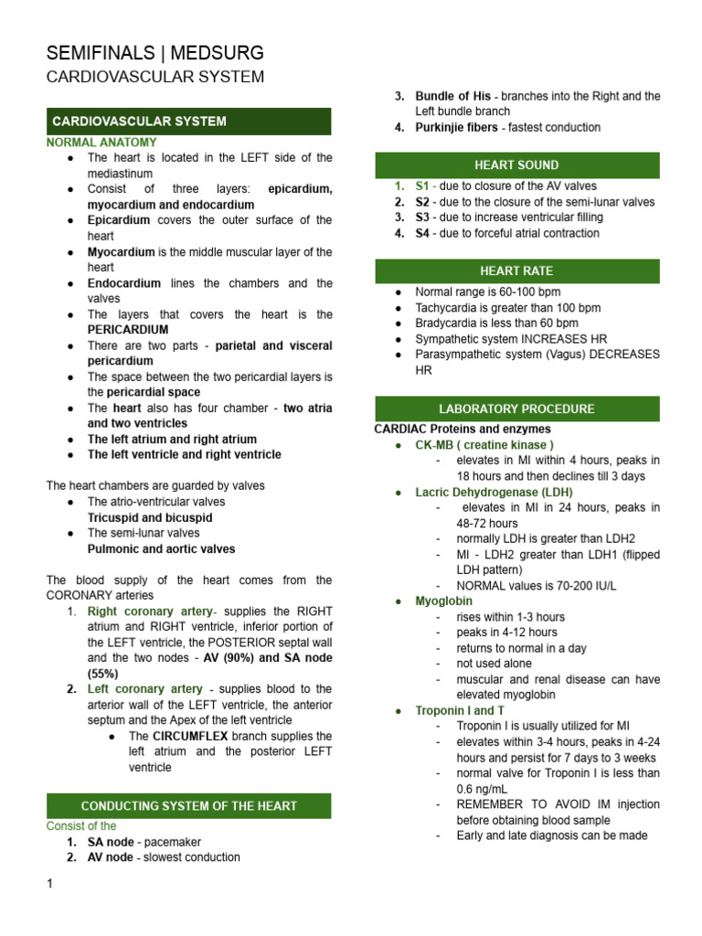 Cardiovascular System 2 | PDF | Myocardial Infarction | Heart