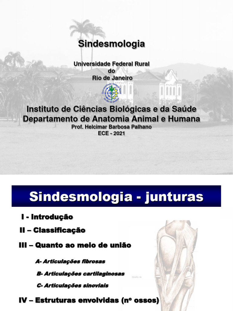 SINDESMOLOGIA | PDF | Cartilagem | Pélvis