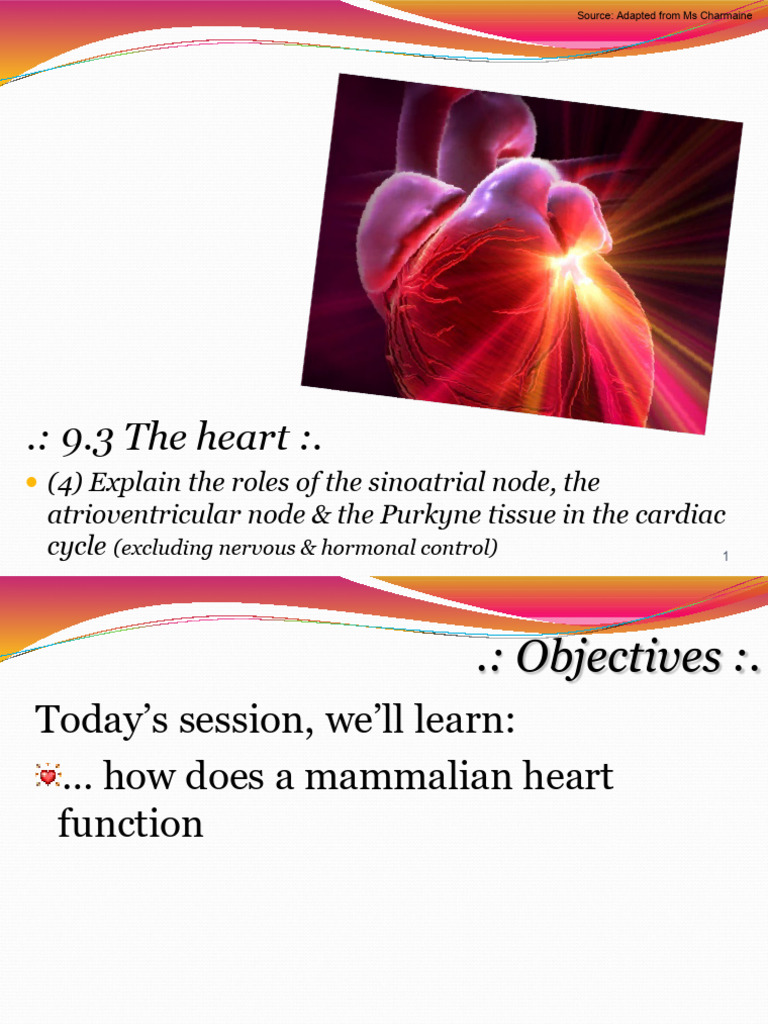 8-5 Heart Initiation & Control (2022 Syllabus) | PDF | Heart | Atrium (Heart)