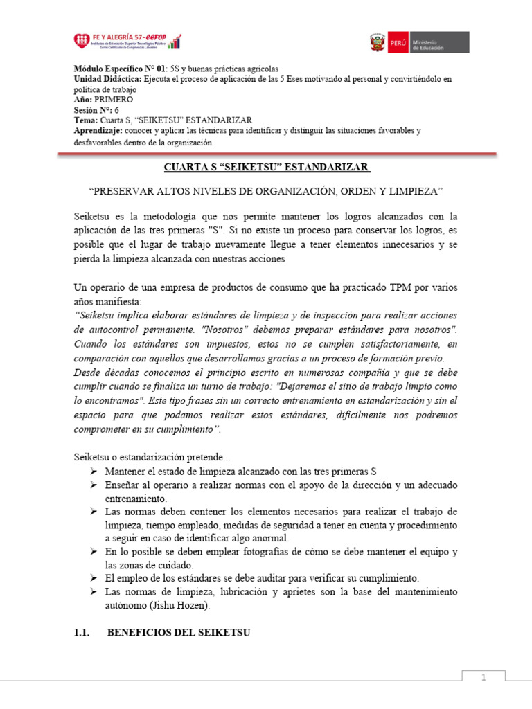 Clase 6. Cuarta S (SEIKETSU) ESTANDARIZACIÓN | PDF