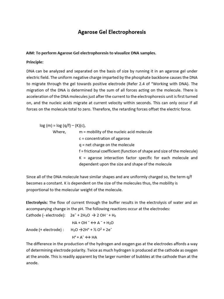 Agarose Gel Electrophoresis Guide | PDF | Agarose Gel Electrophoresis | Gel Electrophoresis