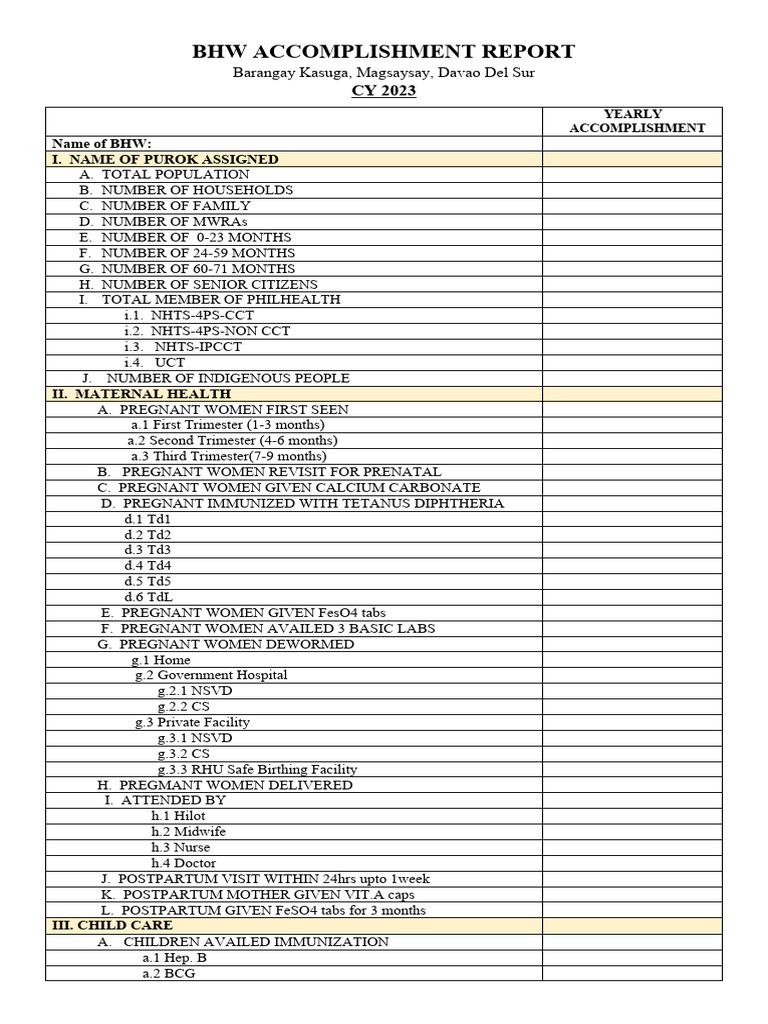 BHW Accomplishment Report | PDF | Pregnancy | Maternal Health