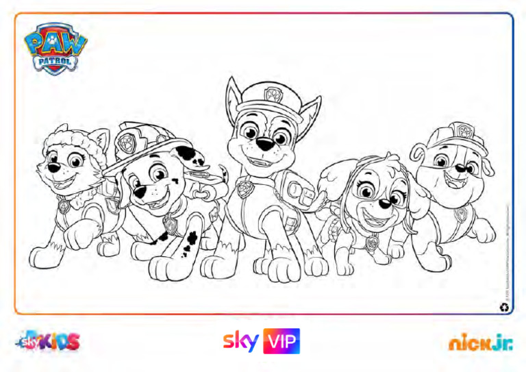 SkyVIP ColSt PAW 01 | PDF