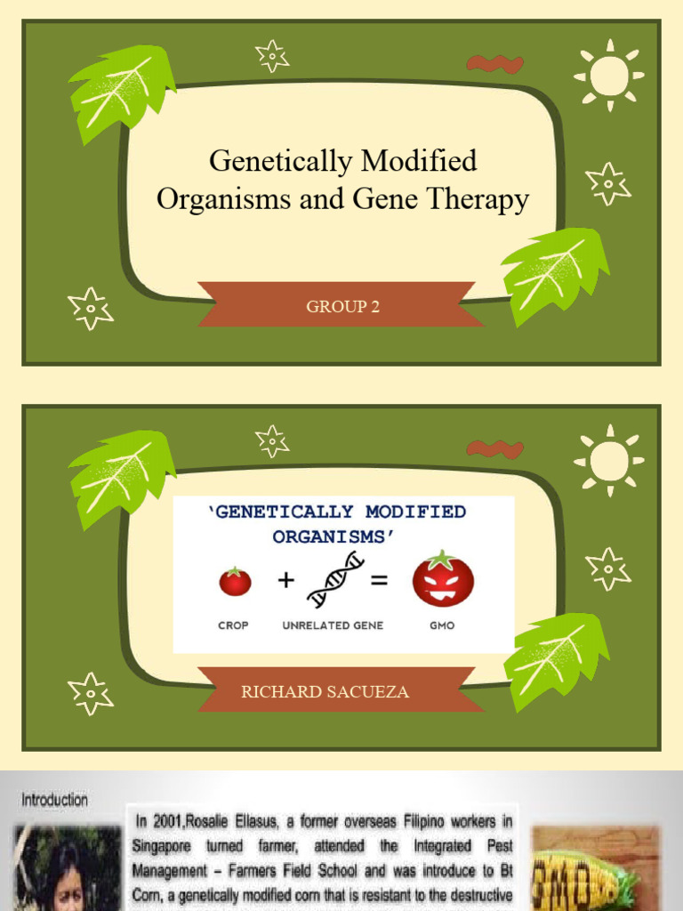 GROUP 2 - GMOs and Gene Therapy | PDF | Genetically Modified Organism | Genetic Engineering
