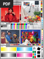 Fogra 51 52 Colour Profiles 2022 | PDF | Adobe Creative Suite | Software