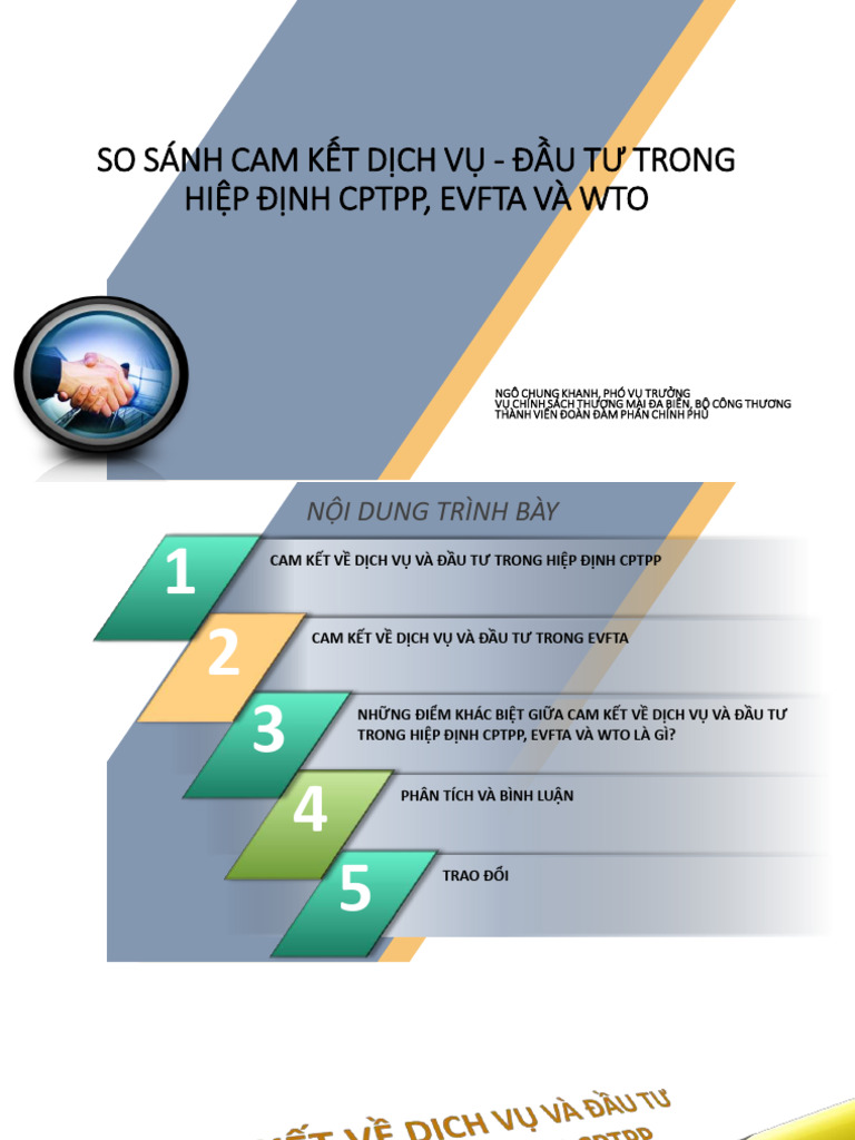 SS Cam Ket Dich Vu - Dau Tu Trong Cac Hiep Dinh | PDF