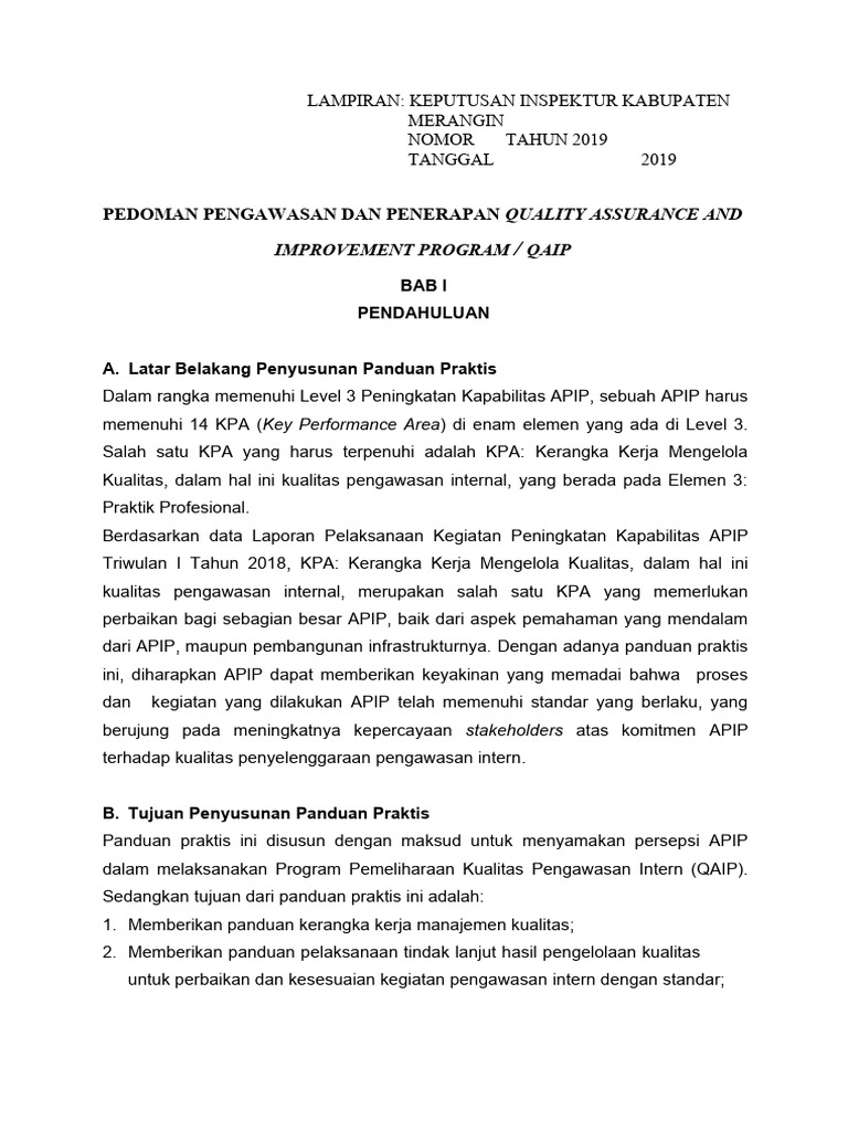 Panduan QAIP Final1 22222 | PDF