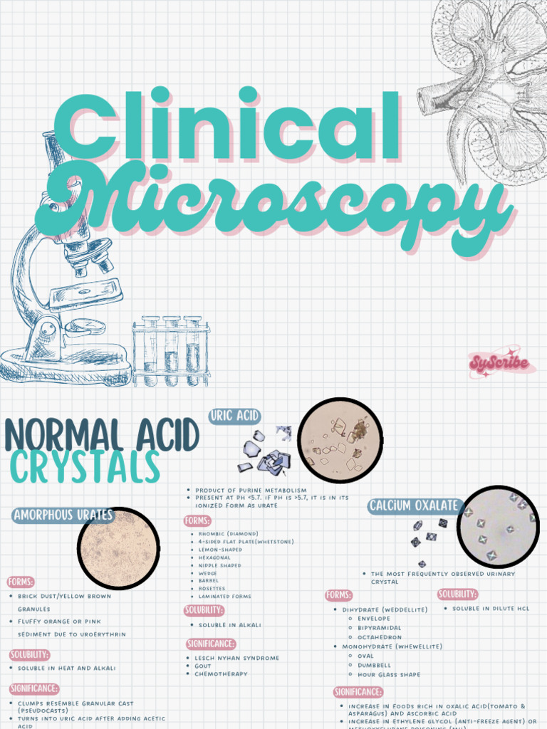 Urine Crystals | Download Free PDF | Acid | Chemical Compounds