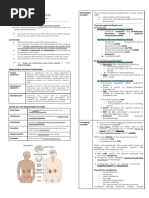 Allan - 5e - PPT - Ch17 - Endocrine System | PDF | Endocrine System ...