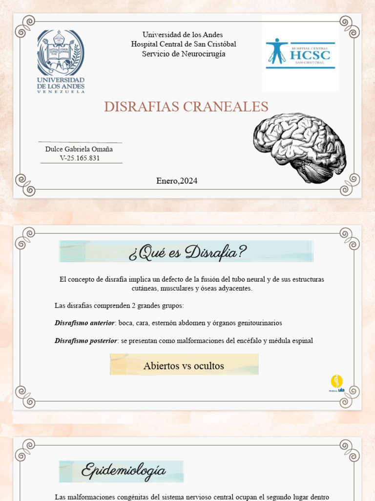 Disrafias Craneales Definitivo | PDF | Neurociencia | Pediatría