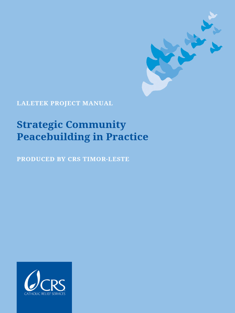 Strategic Community Peacebuilding in Practice | PDF | Peacebuilding ...