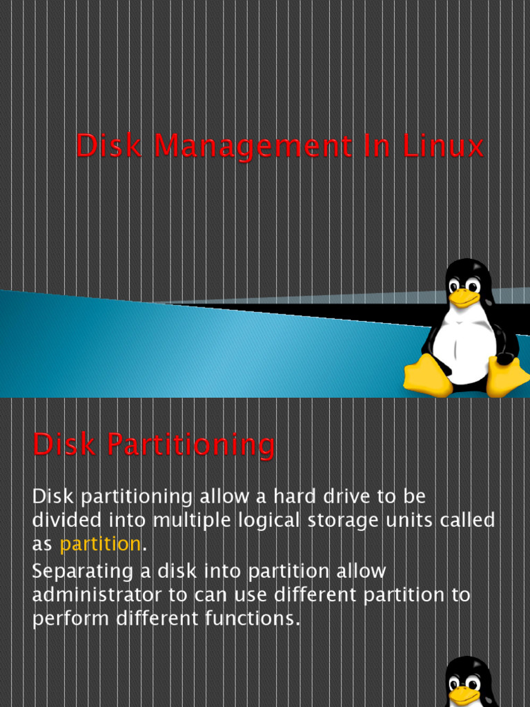 Disk Management | PDF | File System | Computing