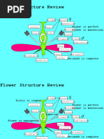 Flower | PDF | Plant Reproduction | Flowers