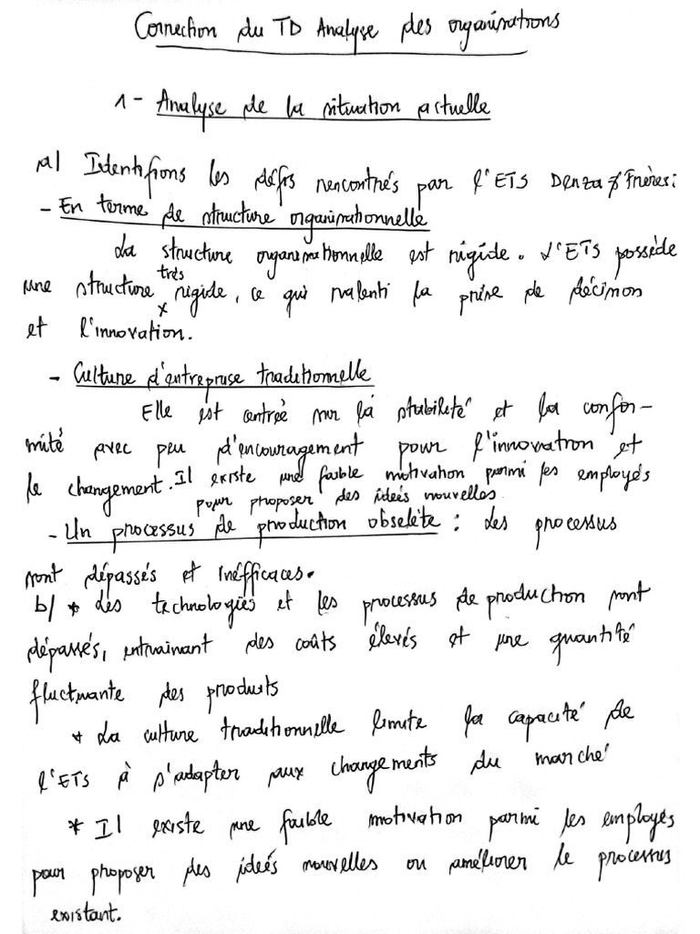 Correction - Du TD - Analyse Des Organisations | PDF