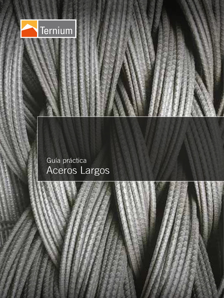 Gu A PR Ctica Aceros Largos | PDF