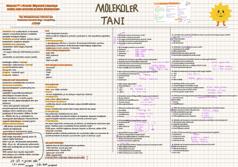Unnamed Document | PDF