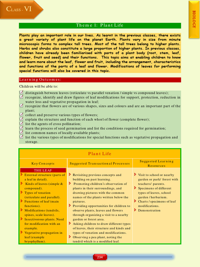 ICSE Class 6 Biology Syllabus | PDF | Cell (Biology) | Leaf