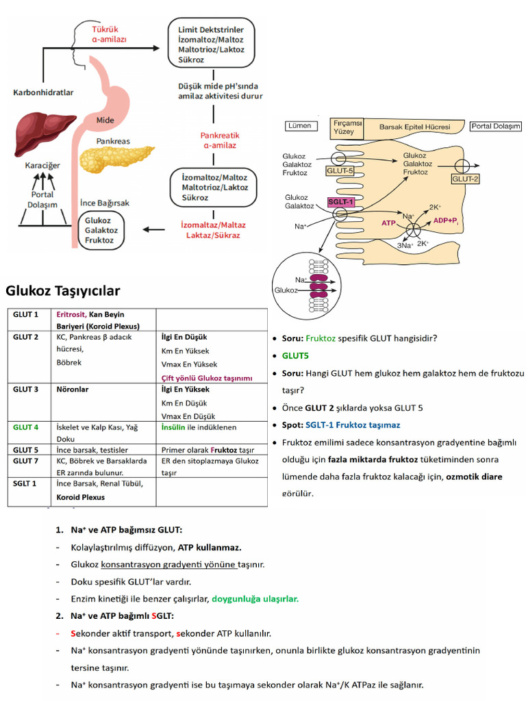 Unnamed Document | PDF