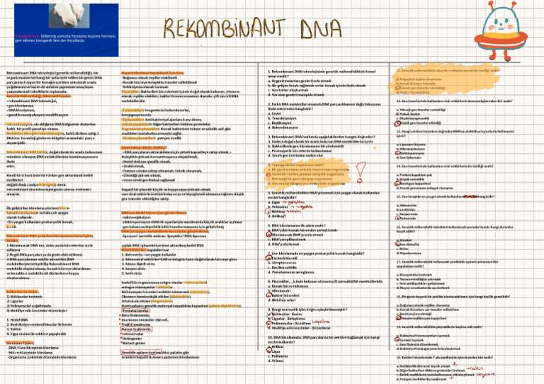 Unnamed Document 4 | PDF