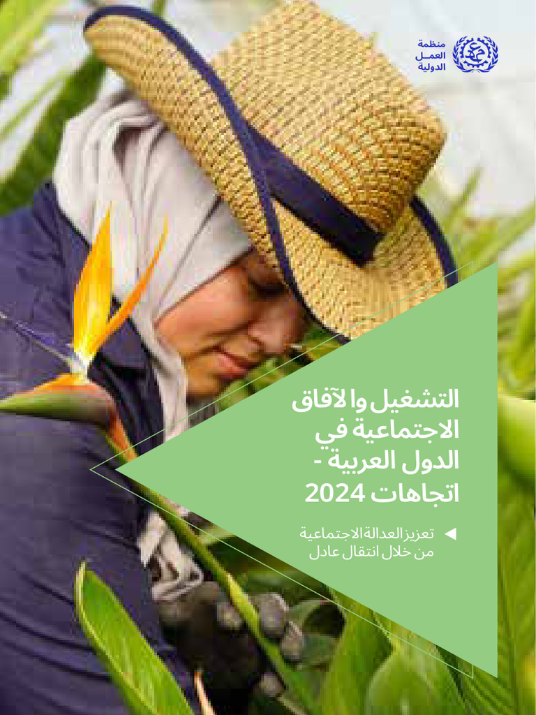 ASESO Report Ar Final | PDF