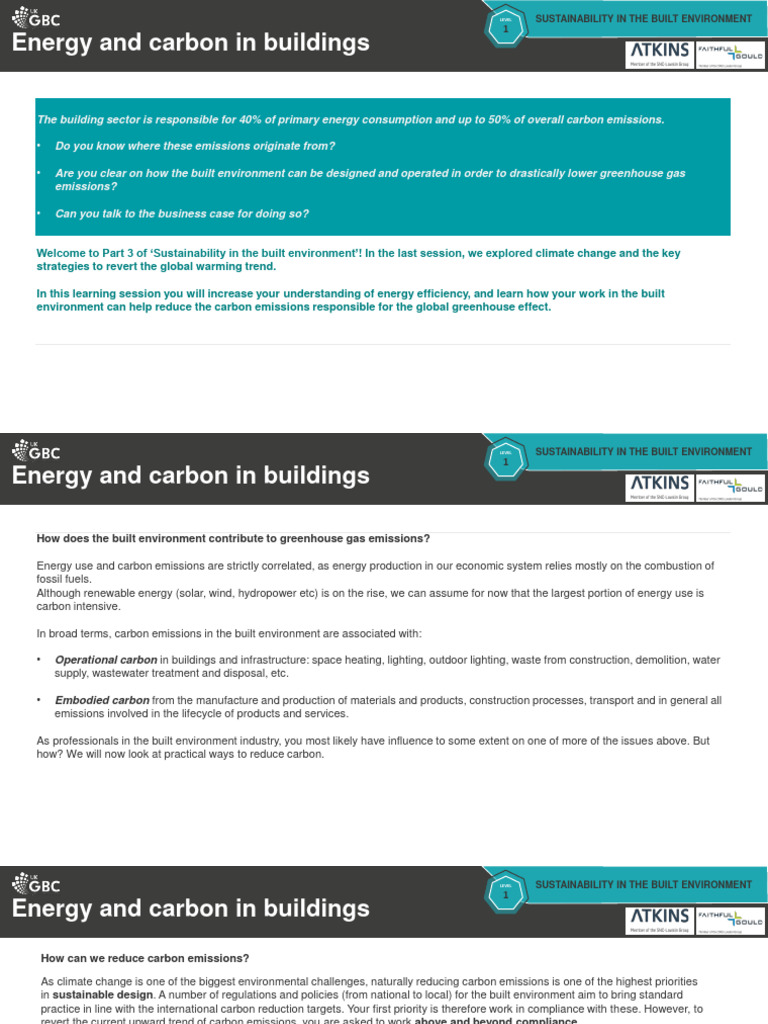 3 Energy and Carbon Efficiency in Buildings | PDF | Efficient Energy Use | Renewable Energy