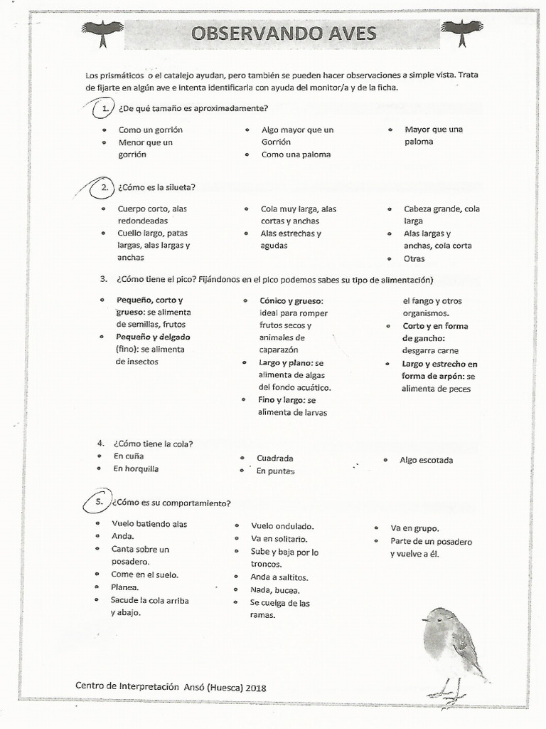 Observando Aves | PDF