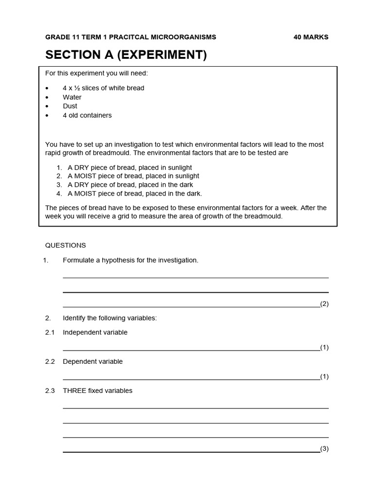 Grade 11 Microorganisms Practical 1 | PDF | Common Cold | Influenza