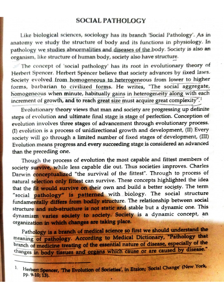 Social Pathology | PDF