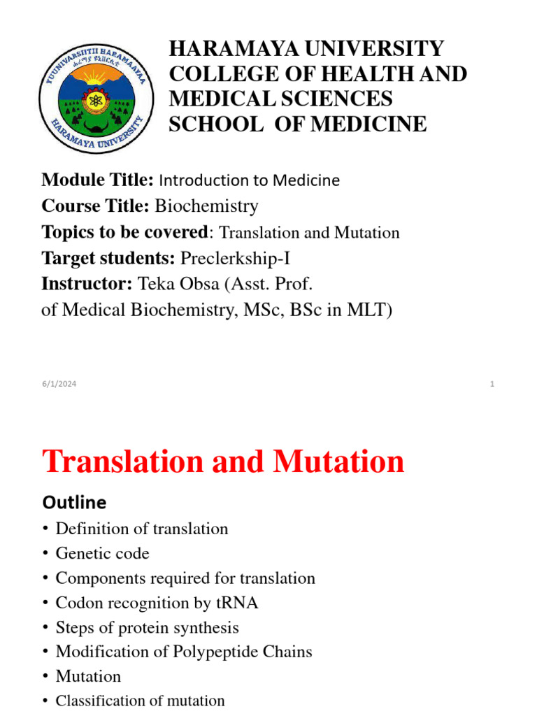 Translation and Mutation | PDF | Translation (Biology) | Ribosome