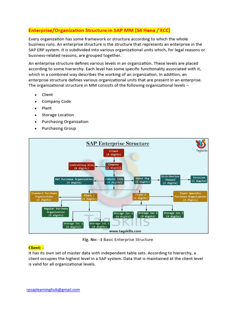 SAP Enterprise Structure | PDF | Procurement | Logistics