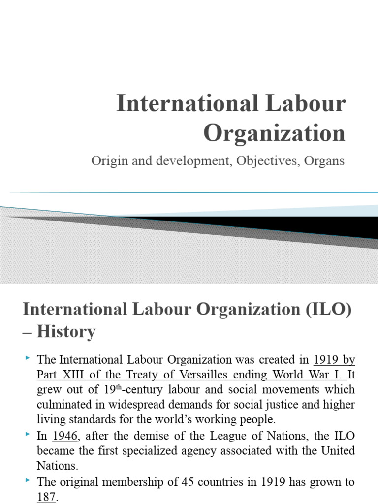 International Labour Organization | PDF | International Labour Organization | Employment