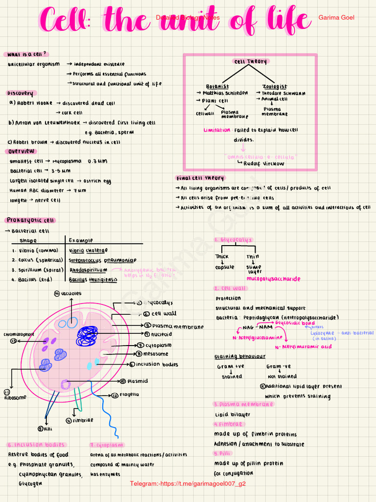 Cell Theory and Structure Notes | PDF | Cell (Biology) | Bacteria