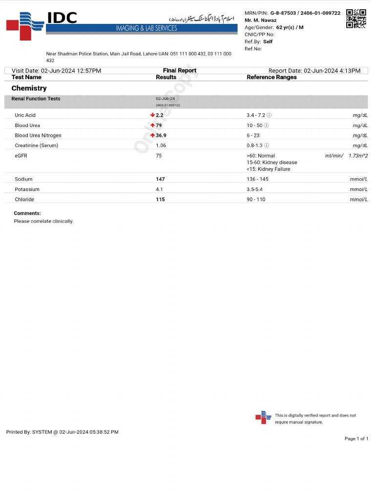 Patient Report PDF | PDF