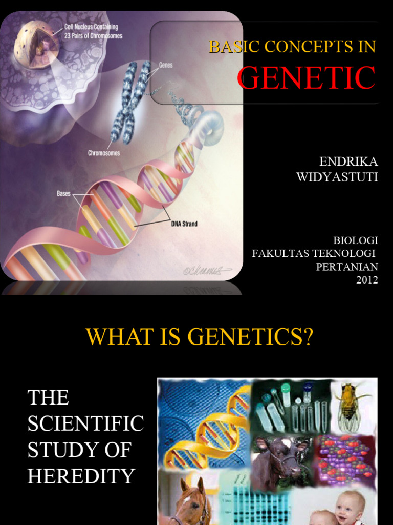 5-Struktur Dan Fungsi Gen | PDF | Dna | Gene