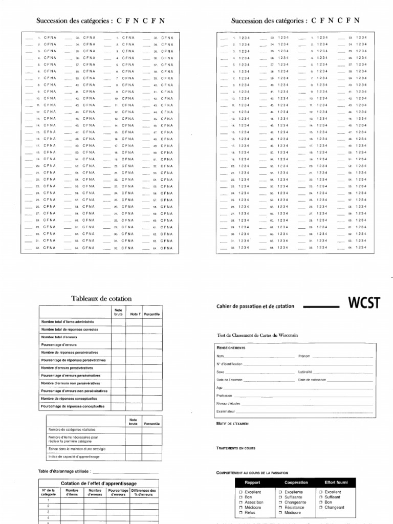 WCST | PDF