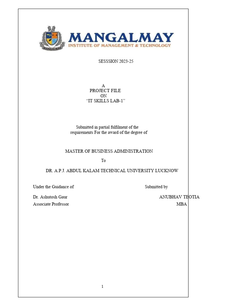 INITIAL PAGES IT SKILLS | PDF